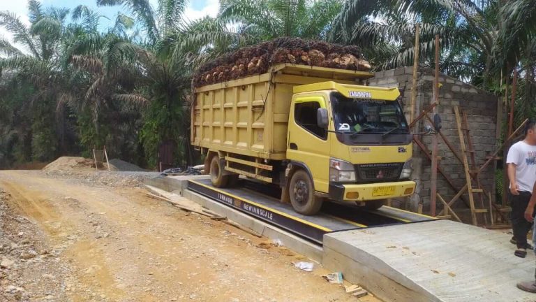 Keunggulan Timbangan Truk Tornado Bagi Perusahaan Kelapa Sawit di ...